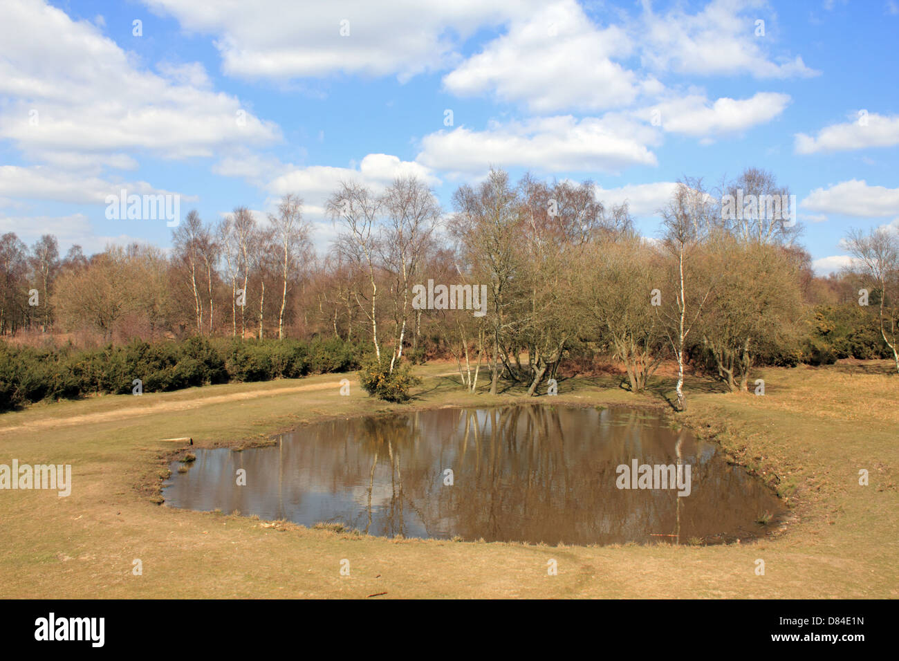 Headley Heath, Surrey, England, UK Stock Photo - Alamy