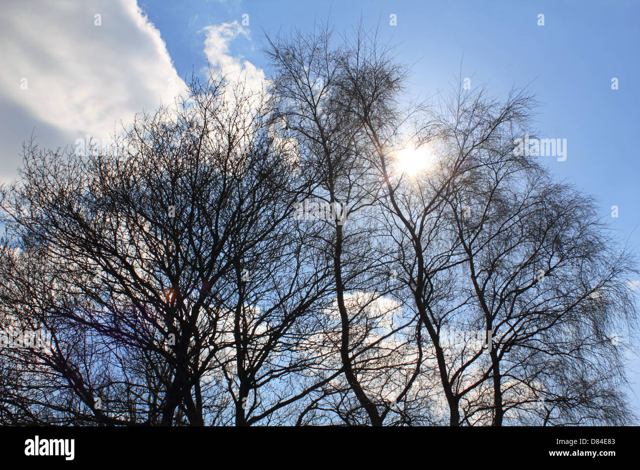 Headley Heath, Surrey, England, UK Stock Photo - Alamy