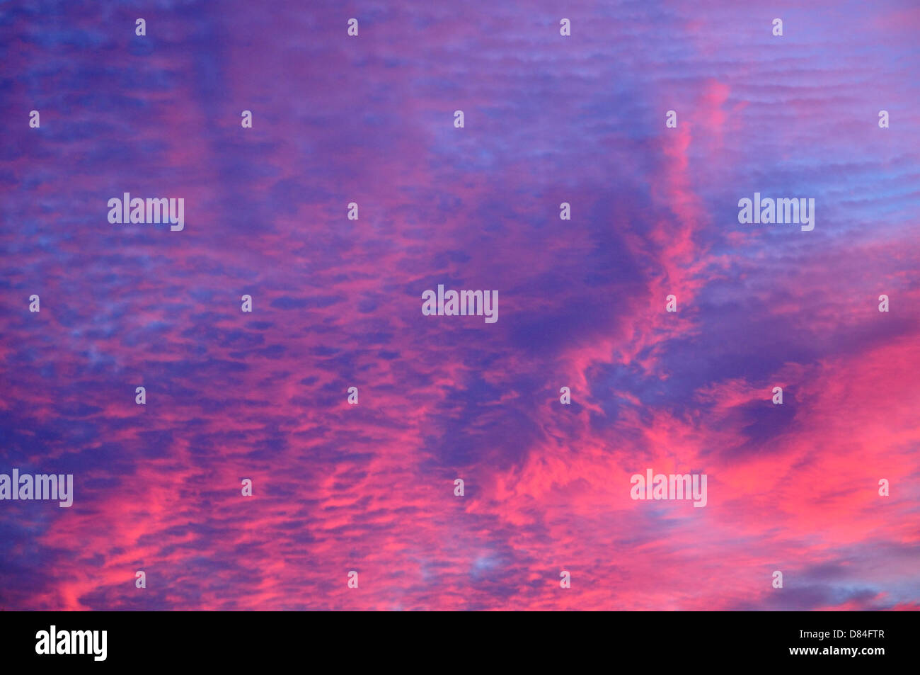 Purple clouds at sunset Stock Photo - Alamy