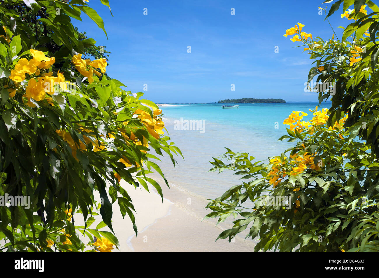 Tropical island beach flowers hi-res stock photography and images - Alamy