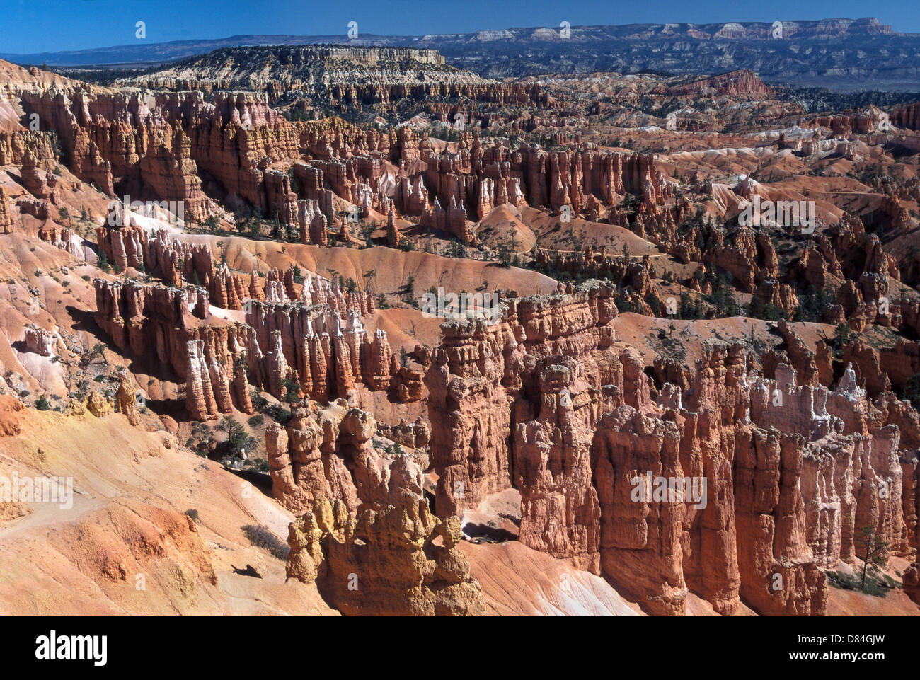 Sunset Point along the Rim Trail is a popular lookout spot for ...