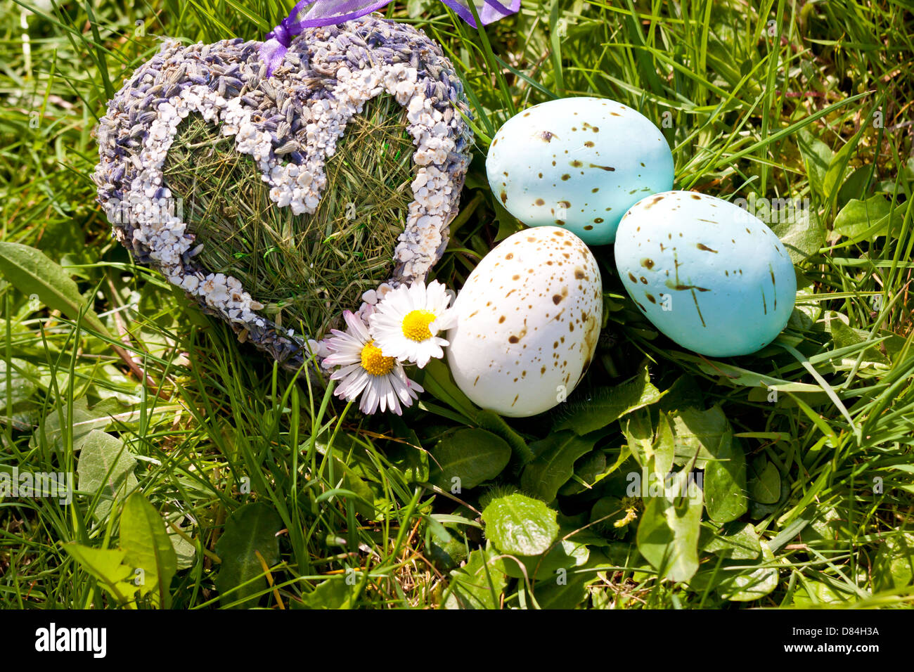 Egg gras hi-res stock photography and images - Alamy