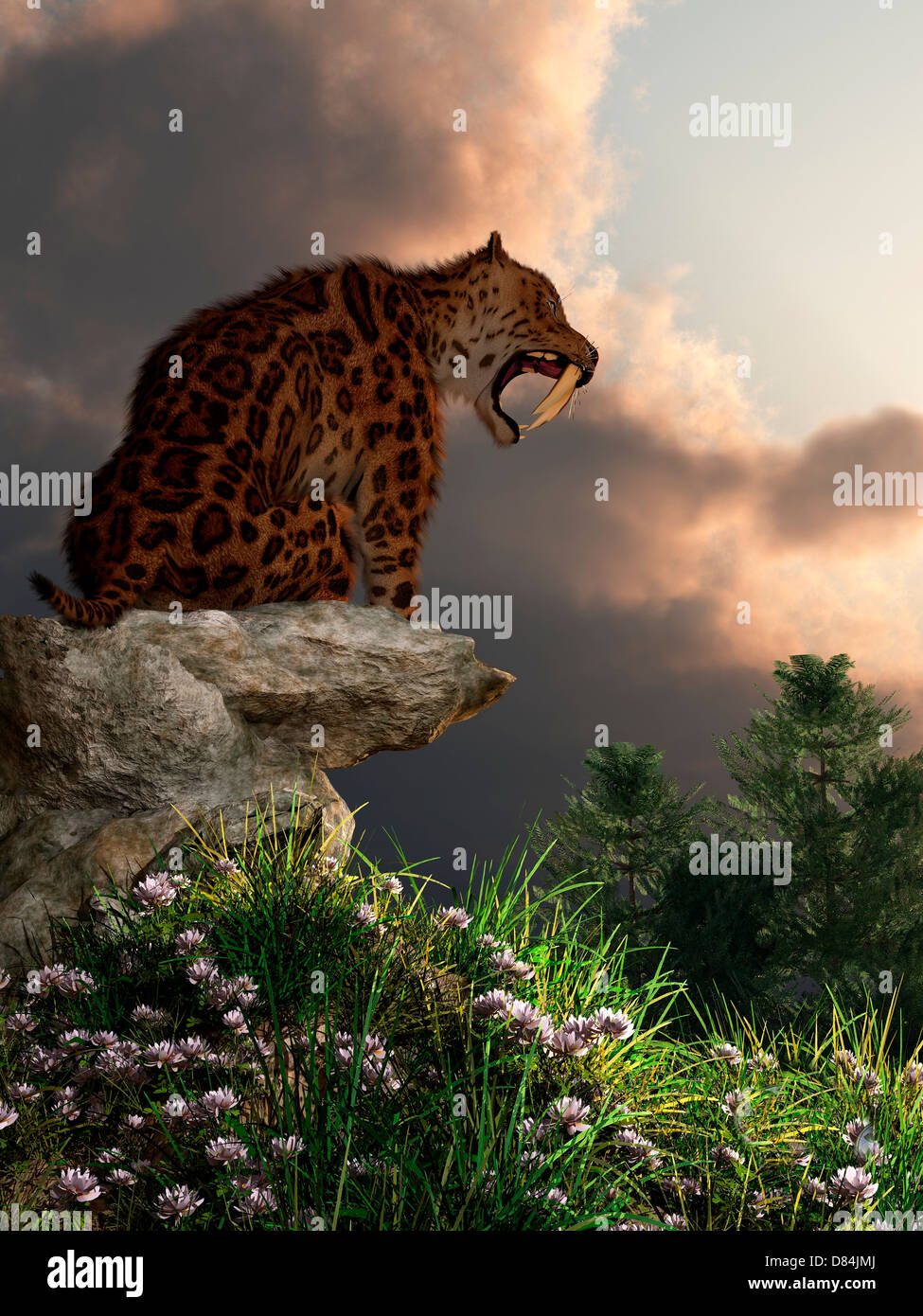 Smilodon hi-res stock photography and images - Alamy