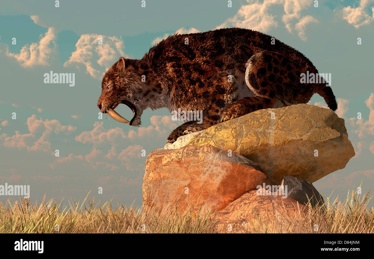 Giant Prehistoric Cats