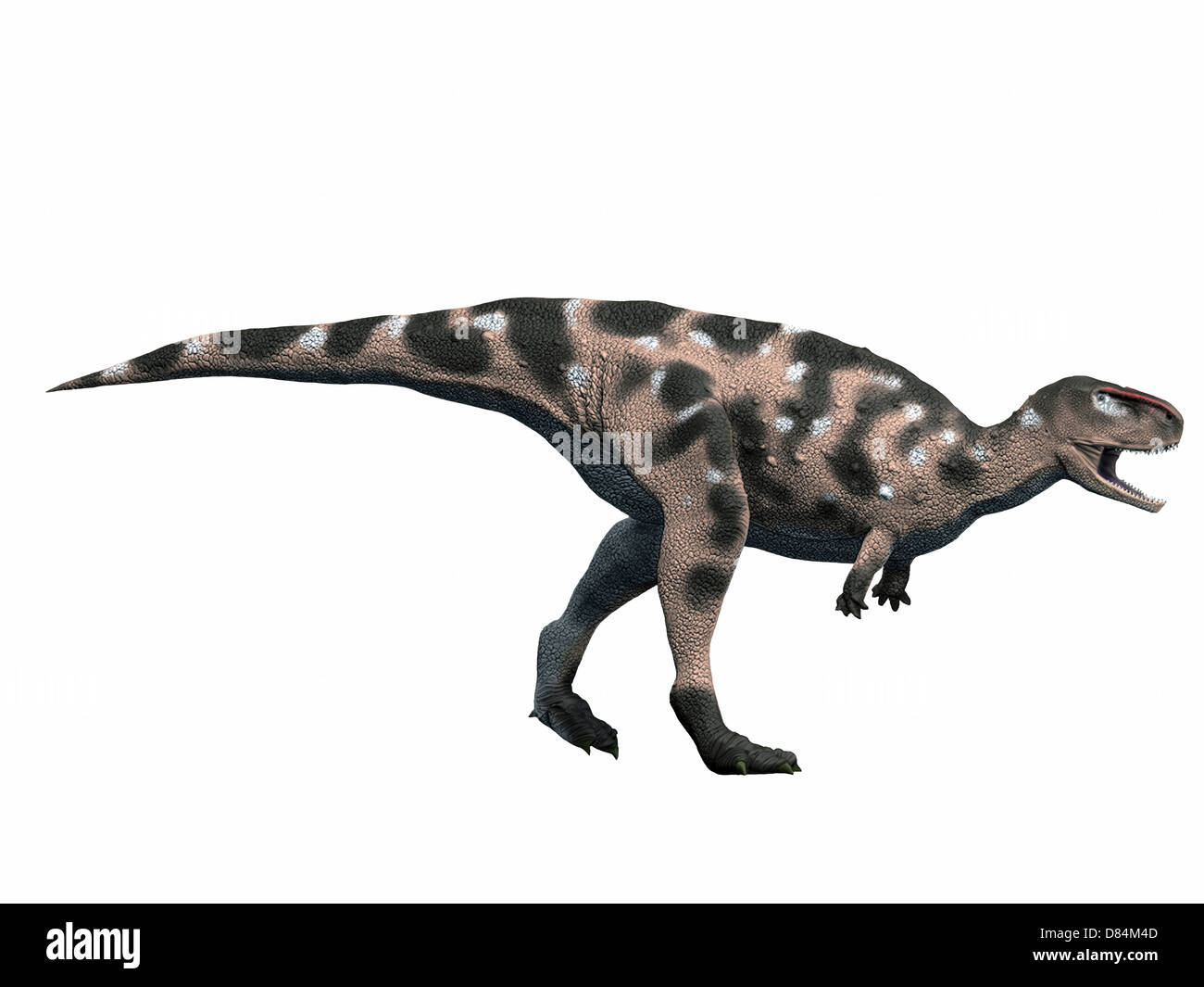 Kryptops palaios, Early Cretaceous of Niger Stock Photo - Alamy