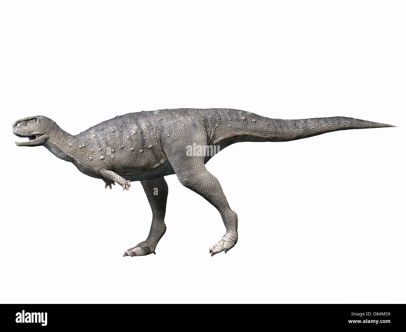 Rugops primus, Late Cretaceous of Niger Stock Photo - Alamy