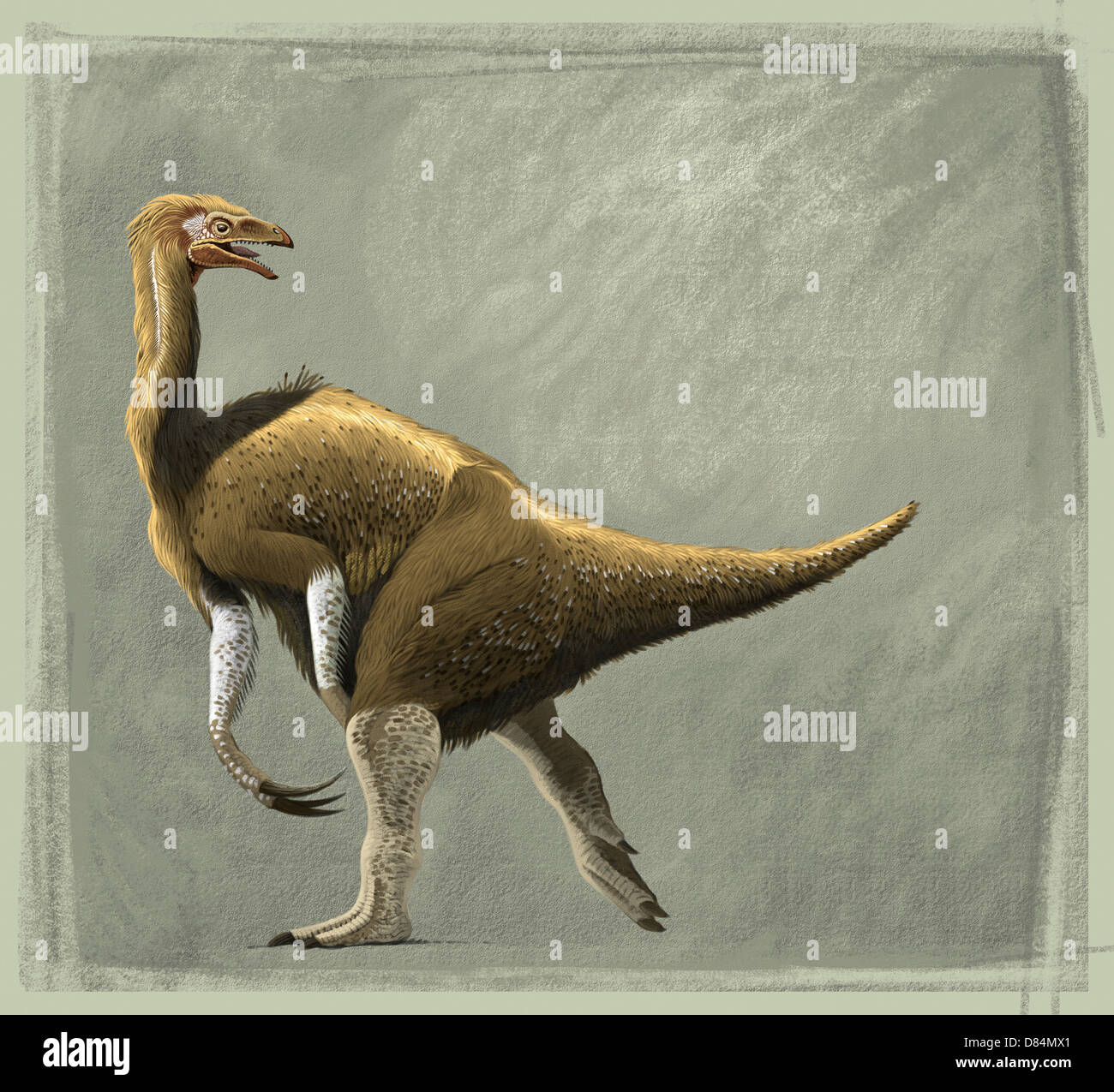 Prehistoric looking reptile species hi-res stock photography and images ...