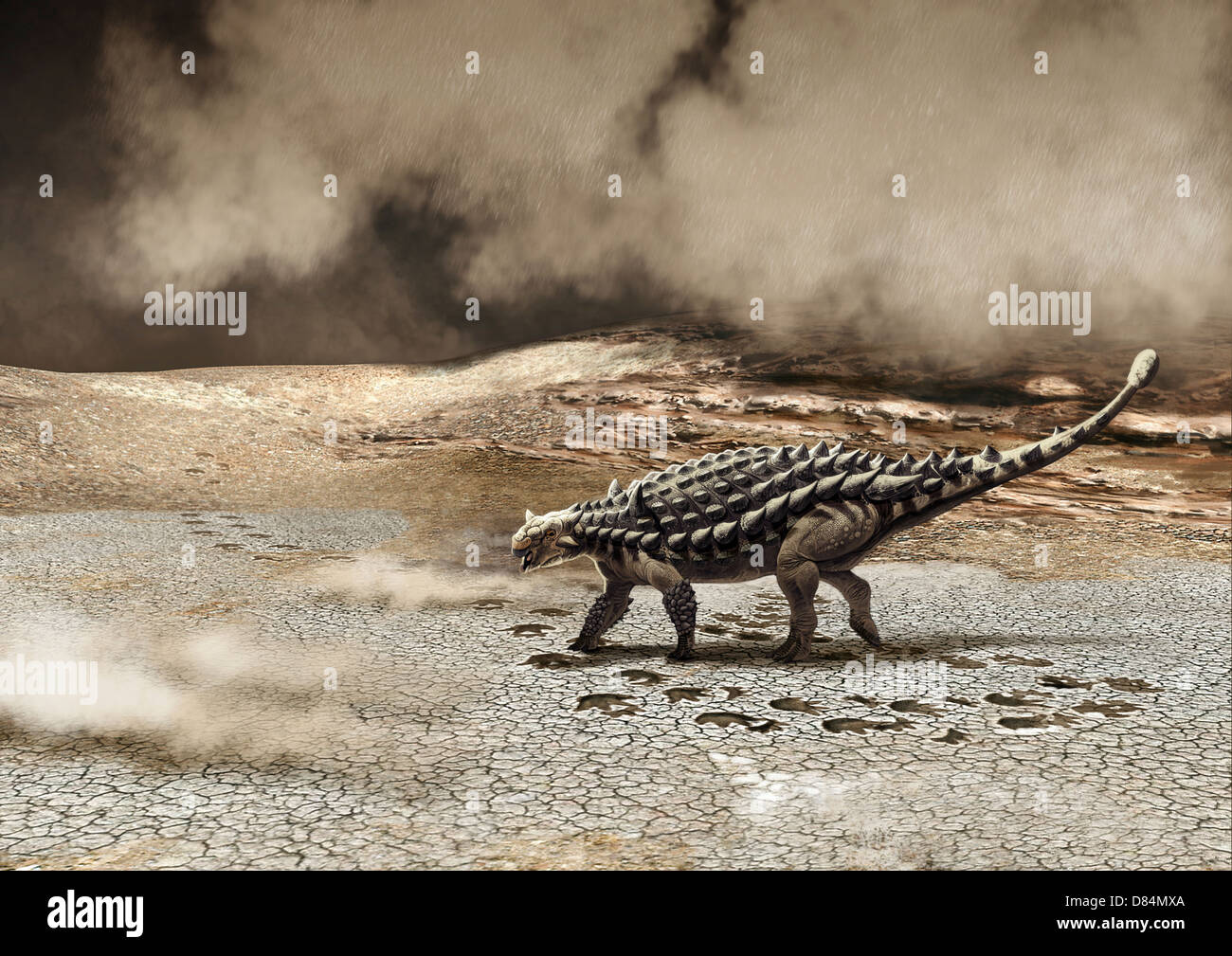 A Saichania chulsanensis dinosaur is caught in a sandstorm Stock Photo ...