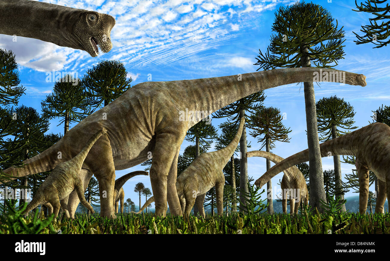 Giraffatitan brancai dinosaurs grazing in a Jurassic environment Stock ...