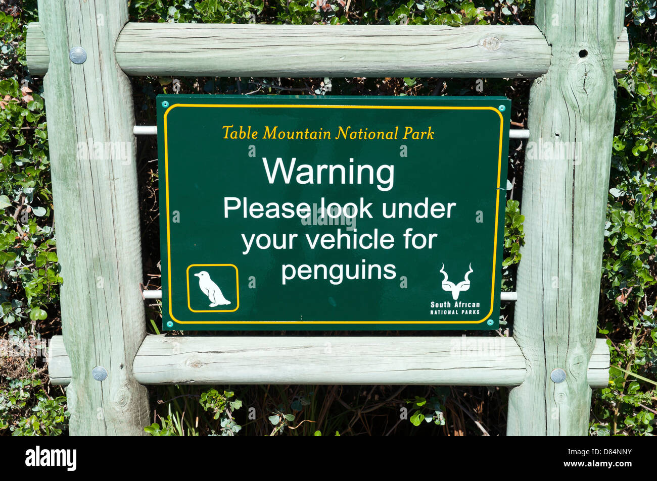 Sign at Boulders Beach, Cape Town, Western Cape, South Africa, warning ...
