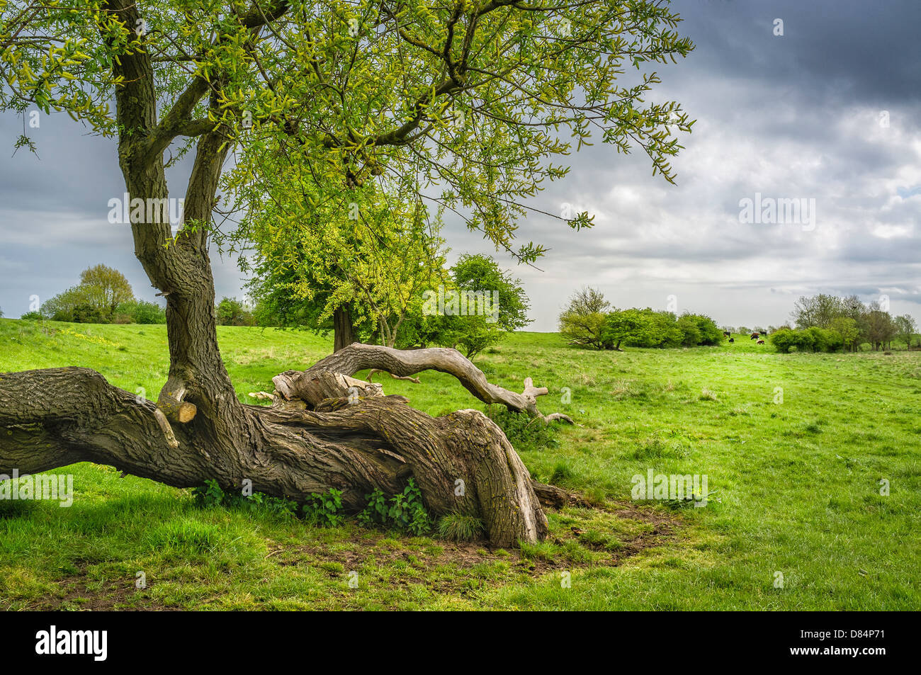 Rambling river hi-res stock photography and images - Alamy