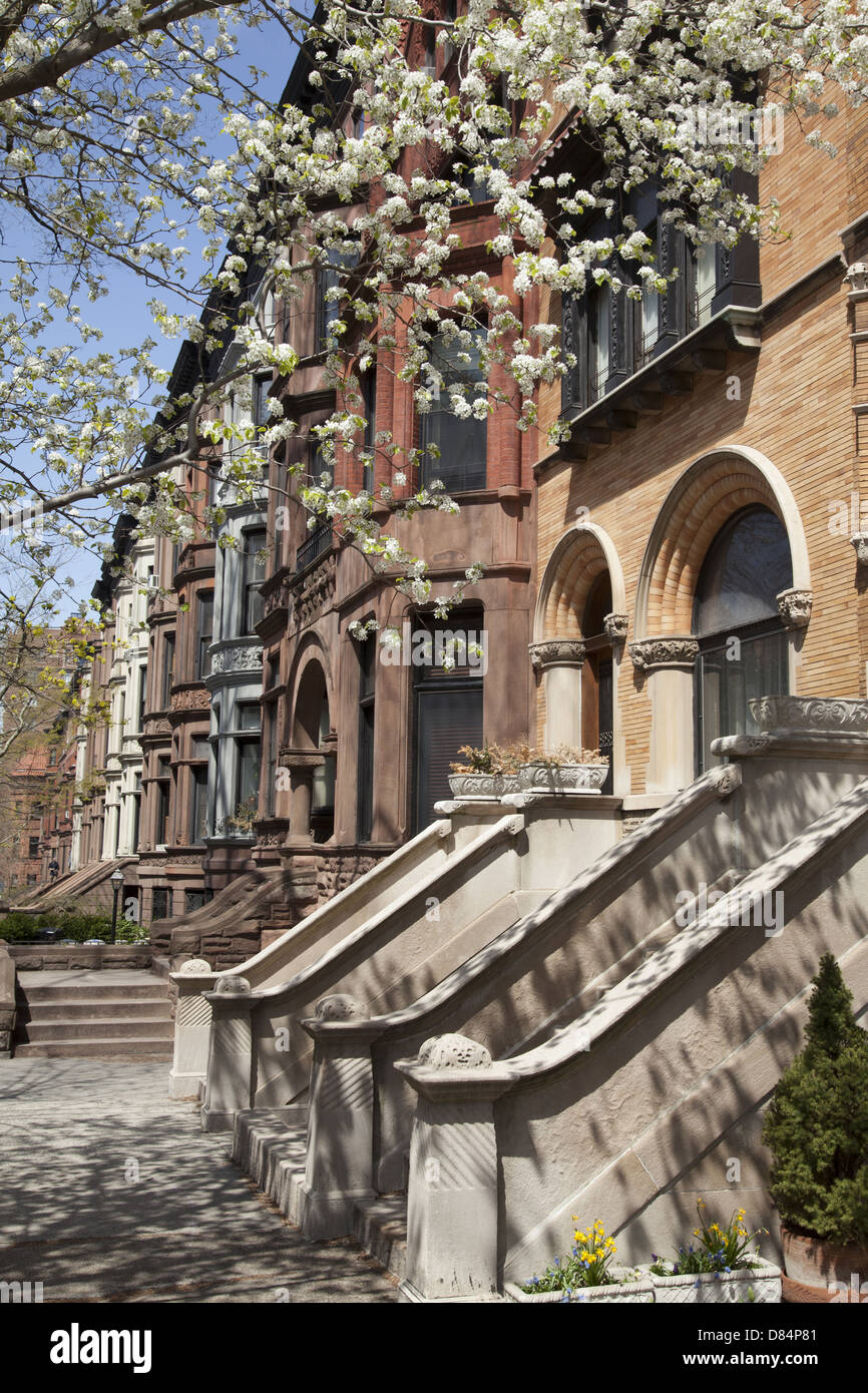 Brownstones in Historic Park Slope Brooklyn, NY Stock Photo - Alamy