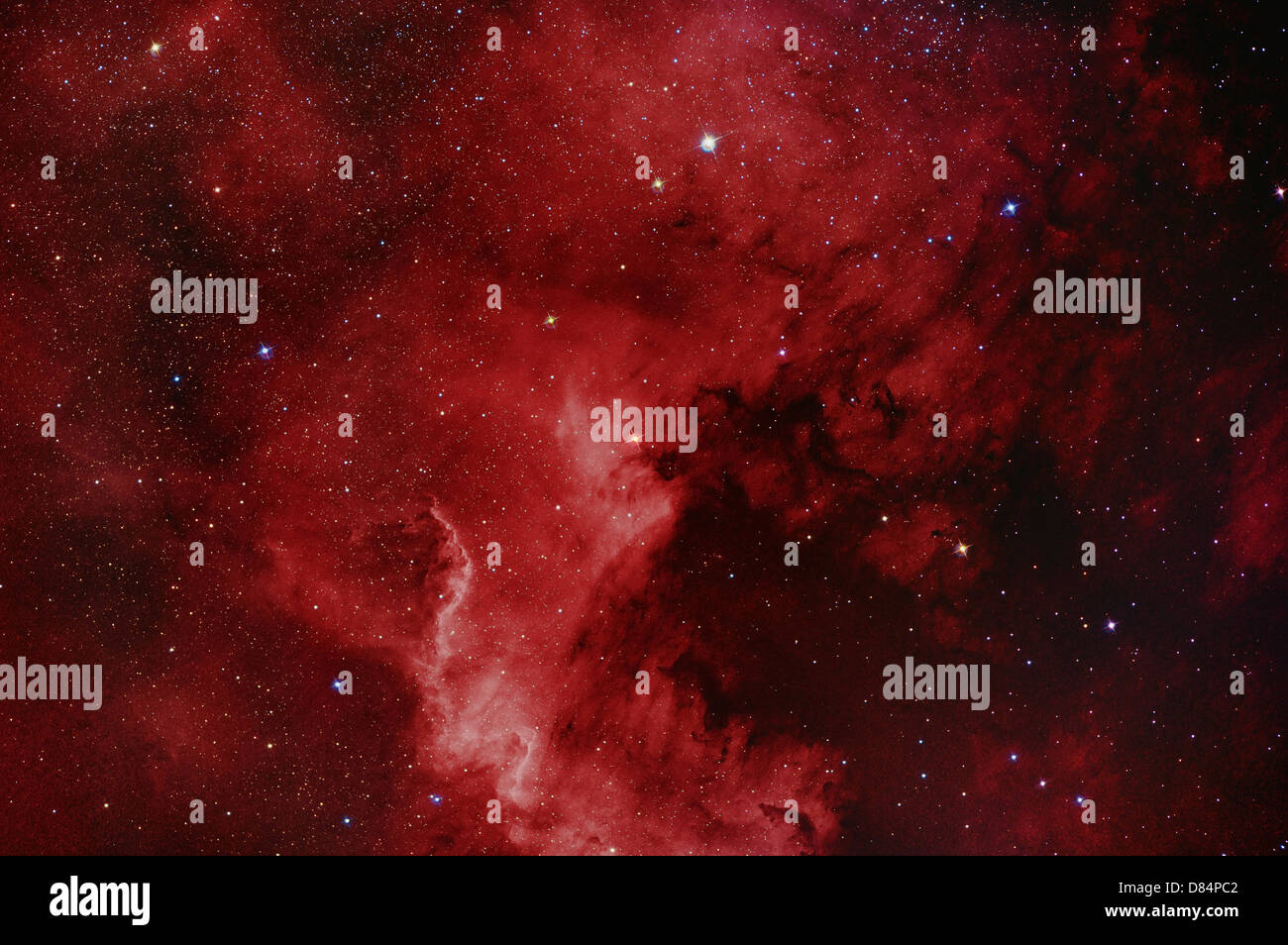 NGC 7000, The North America Nebula Stock Photo - Alamy