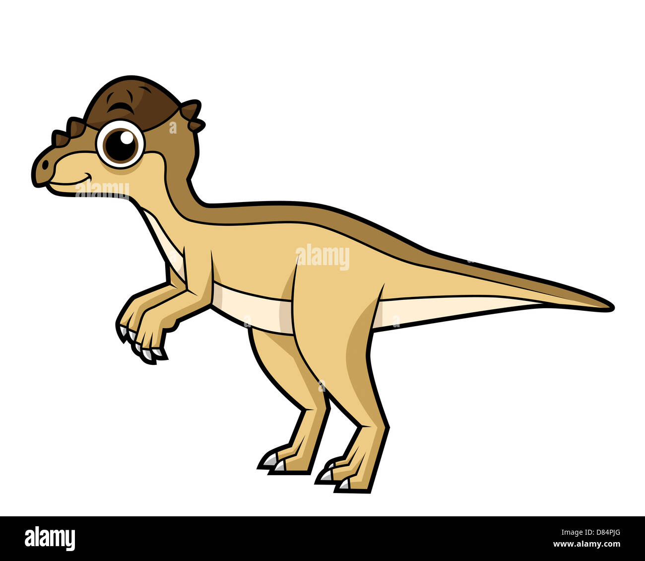 Cute illustration of a Pachycephalosaurus dinosaur Stock Photo - Alamy