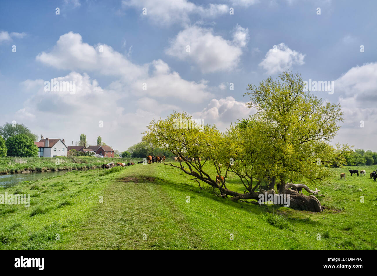 Spring bank hull hi-res stock photography and images - Alamy