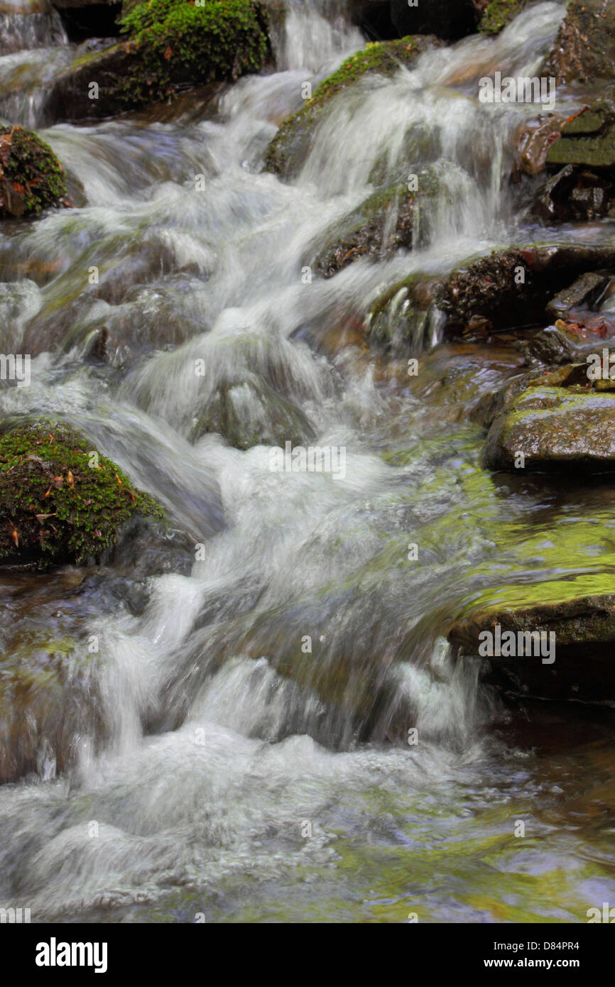 Brook in spring hi-res stock photography and images - Alamy