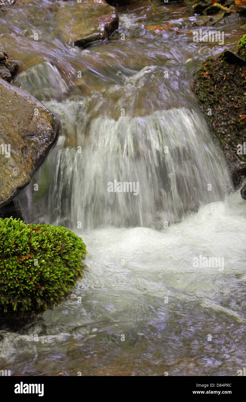 small waterfall on a brook Stock Photo - Alamy
