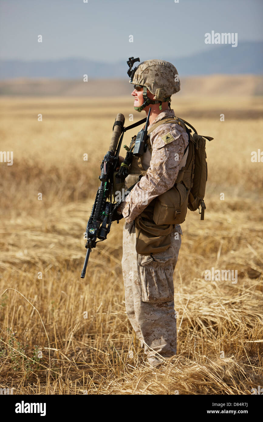 Weapon clearing hi-res stock photography and images - Alamy