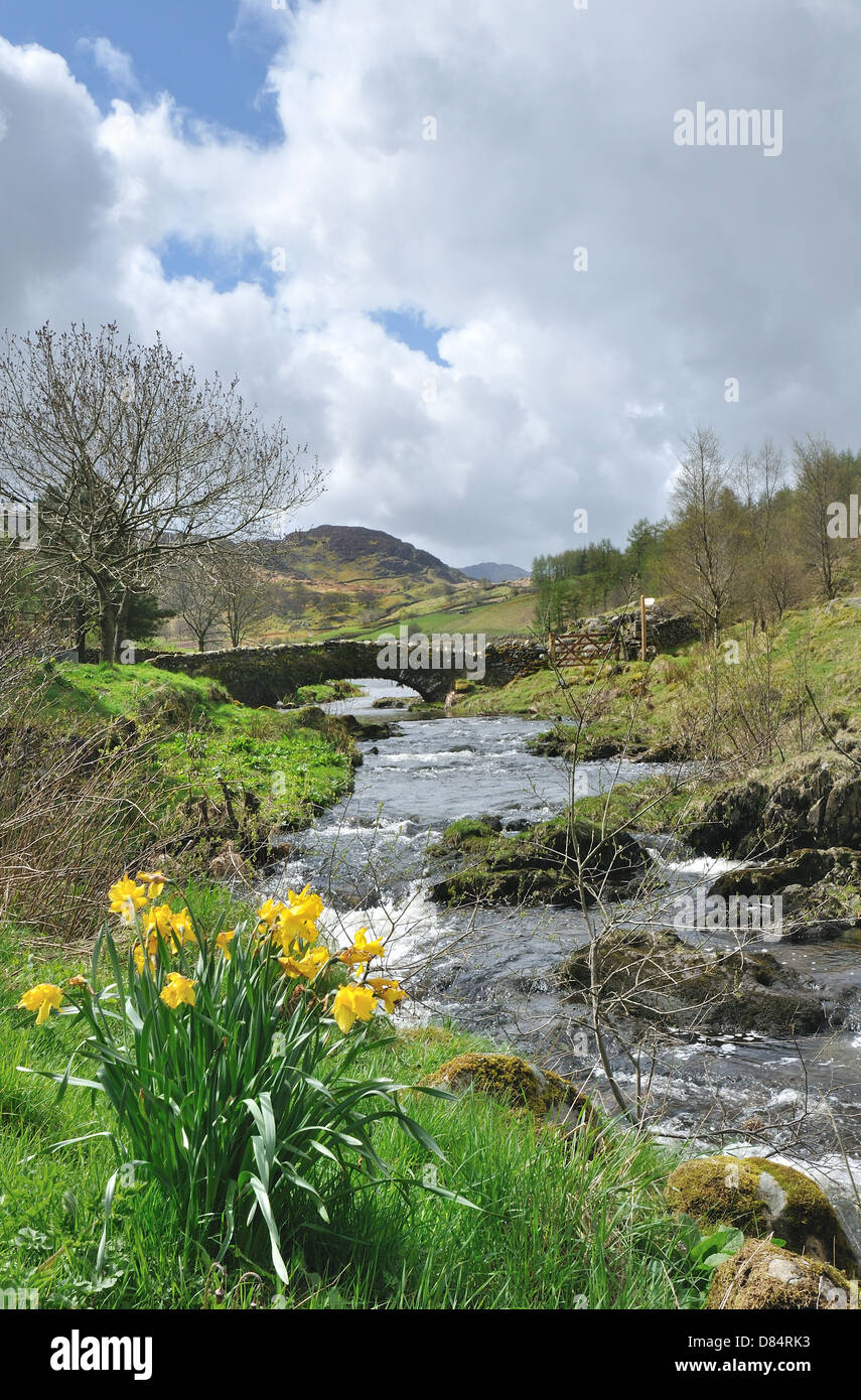 Lake district spring hi-res stock photography and images - Alamy