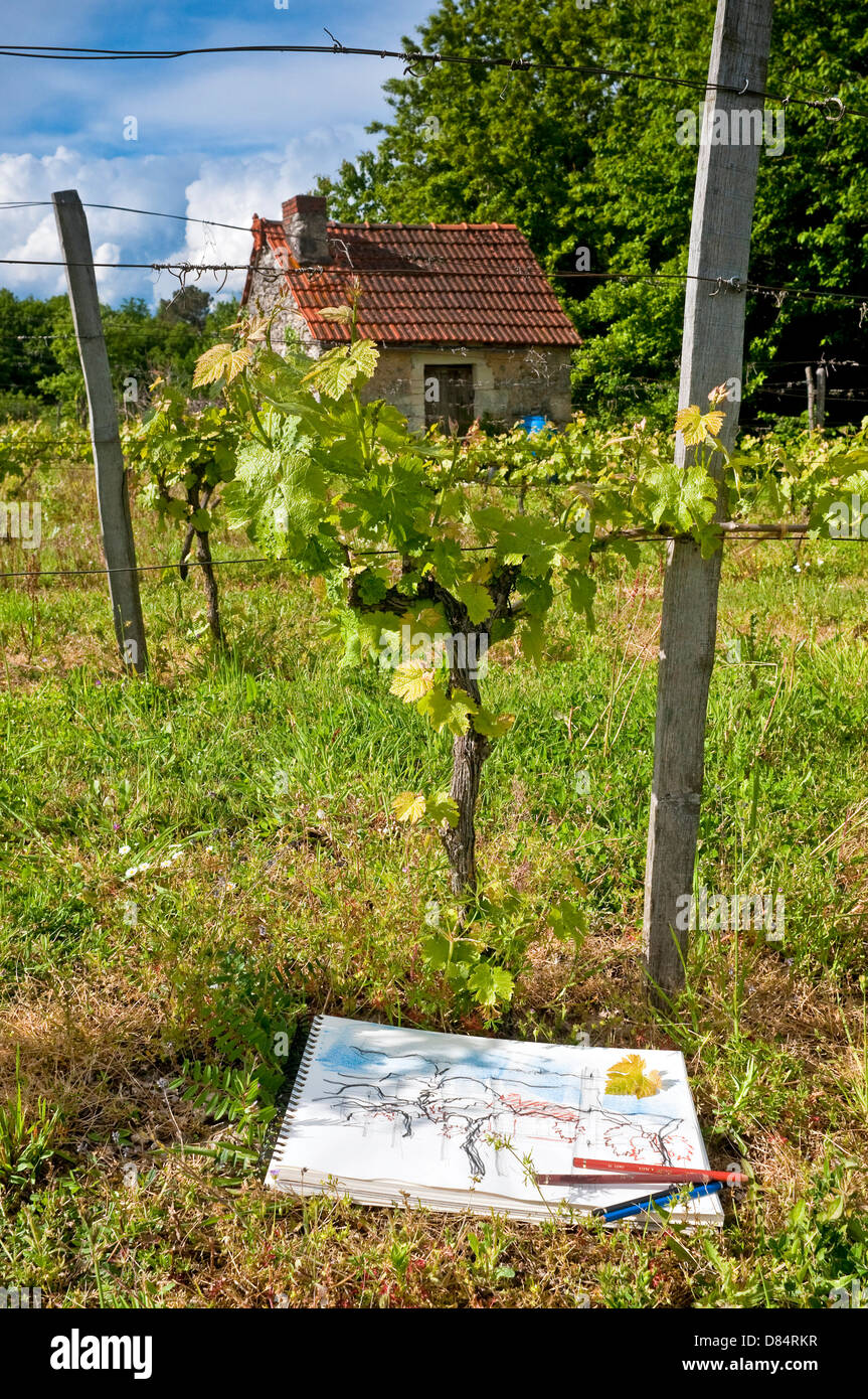 Vineyard drawing hi-res stock photography and images - Alamy