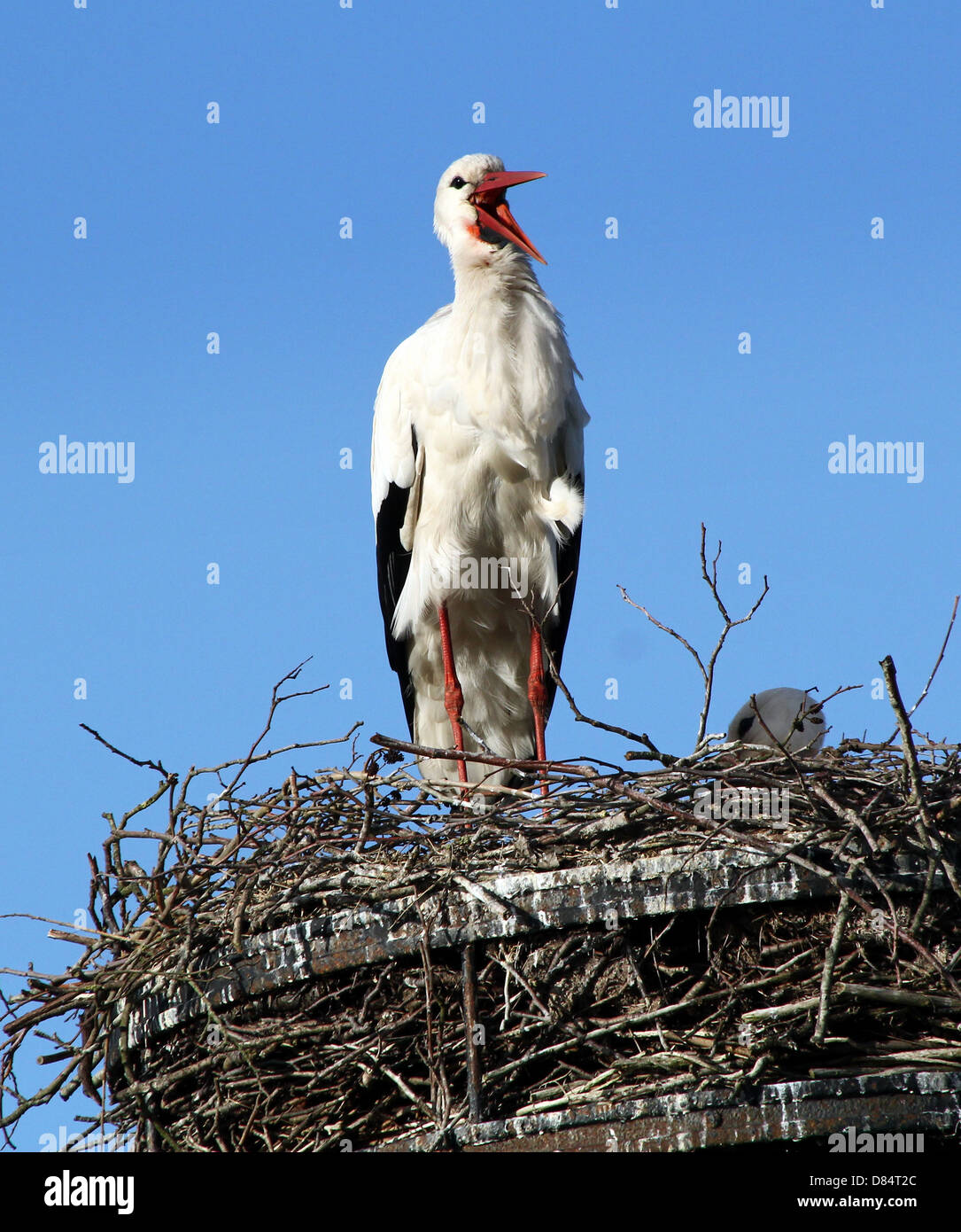 Bill Clattering High Resolution Stock Photography and Images - Alamy