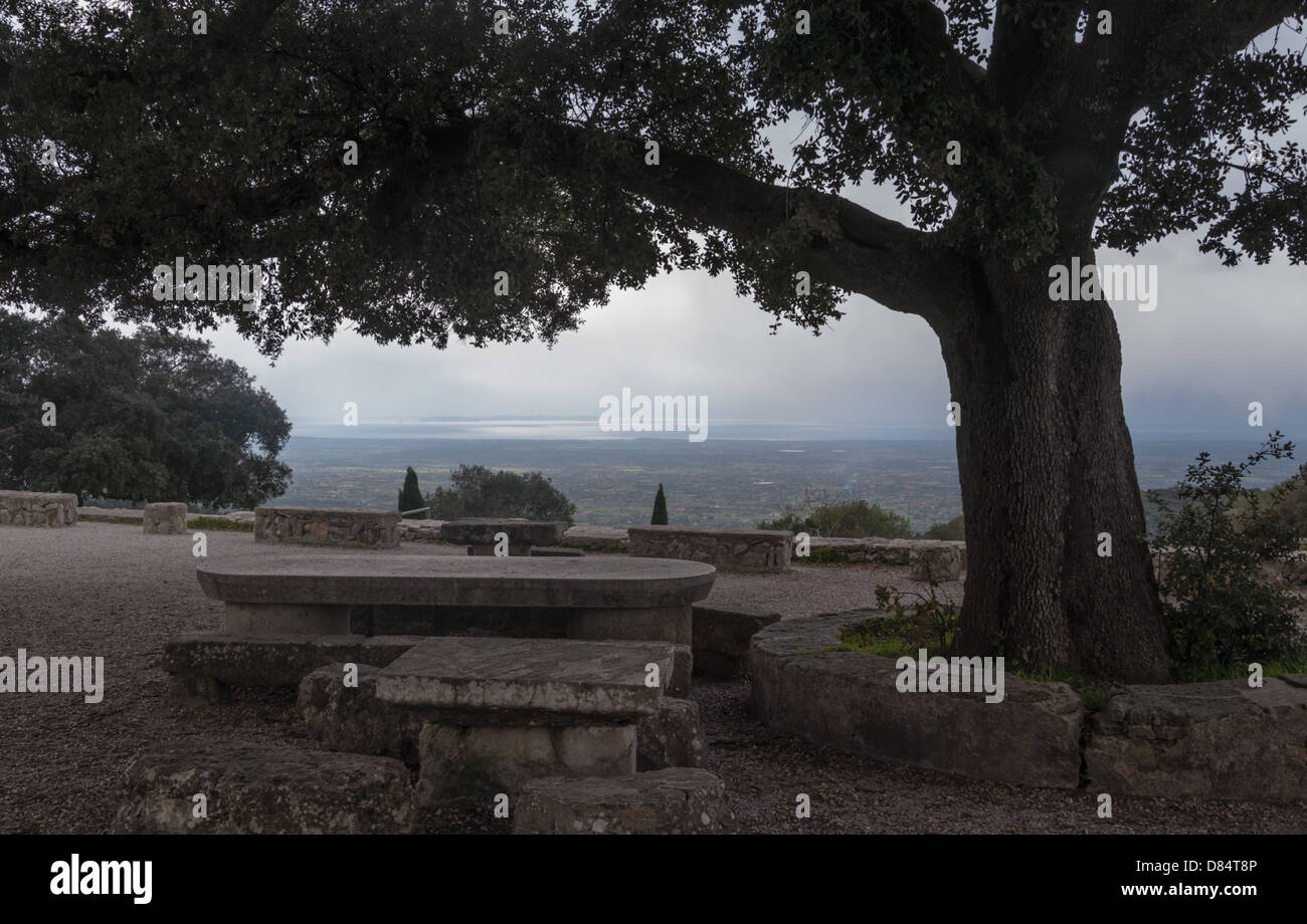 Strong pine hi-res stock photography and images - Alamy