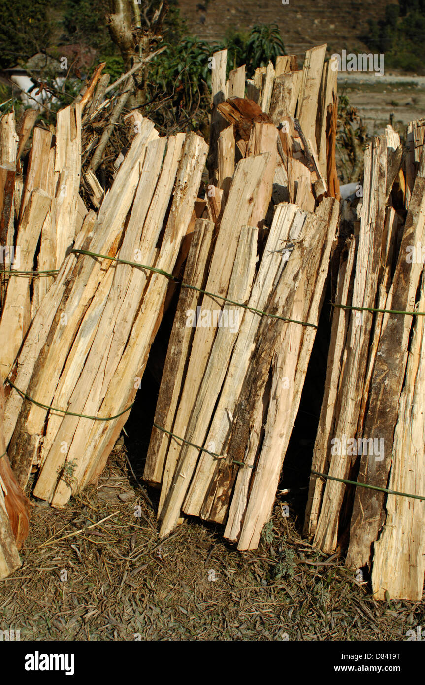 a firewood bundle in Nepal Stock Photo - Alamy