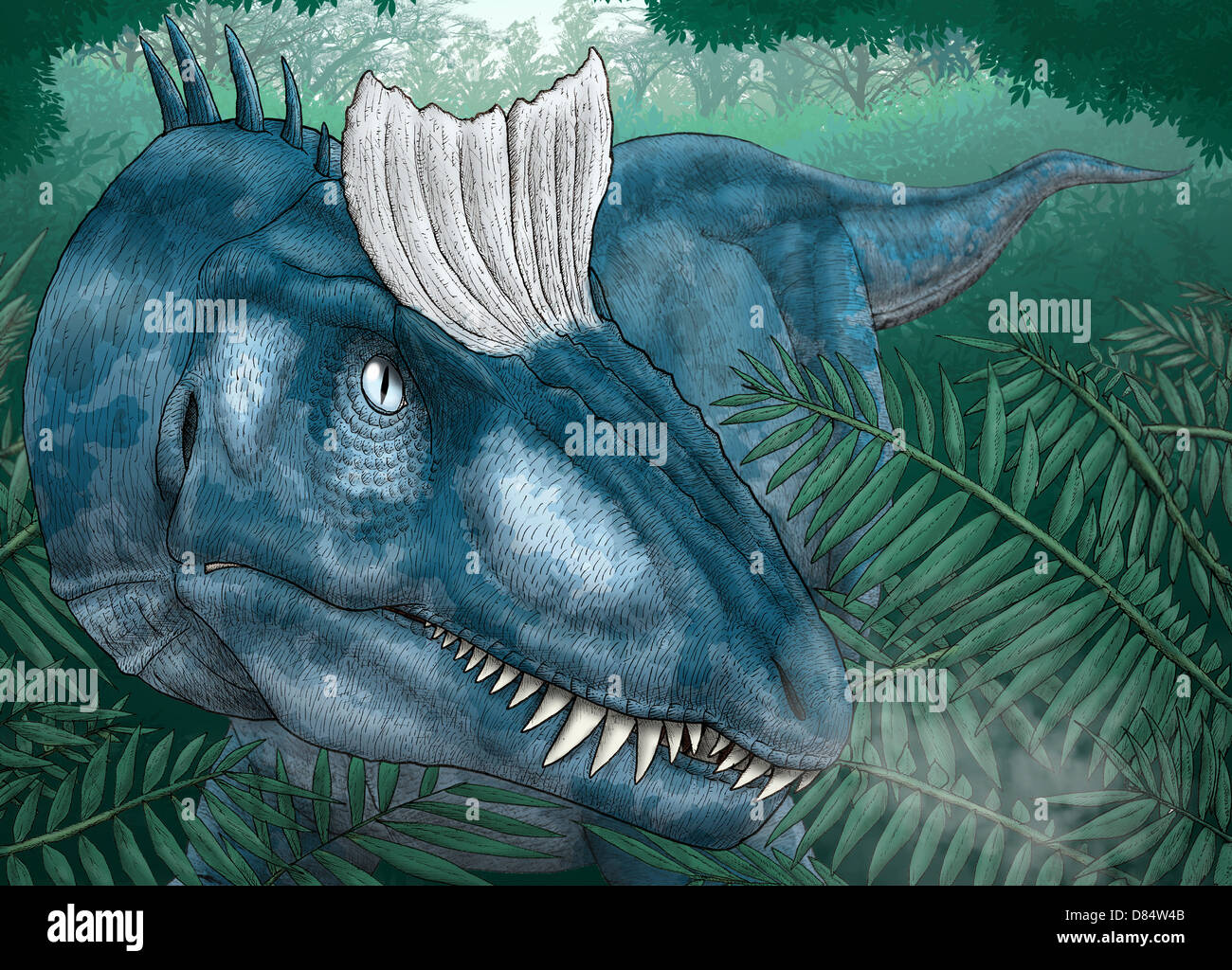 A Cryolophosaurus walking through the freezing forest of the Jurassic ...