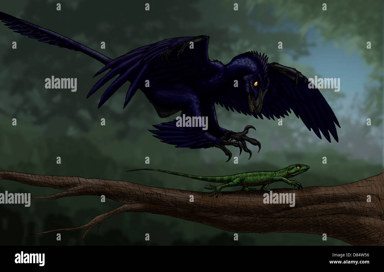 Microraptor dinosaur hi-res stock photography and images - Alamy