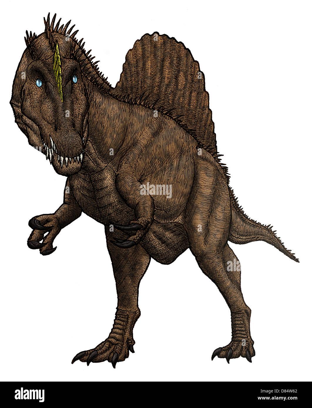 Oxalaia, huge Brazilian spinosaurid from the Late Cretaceous Period ...