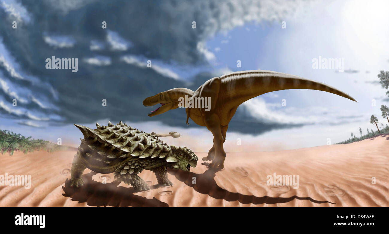 A Tarbosaurus dinosaur and an armored Saichania ankylosaurid in a ...
