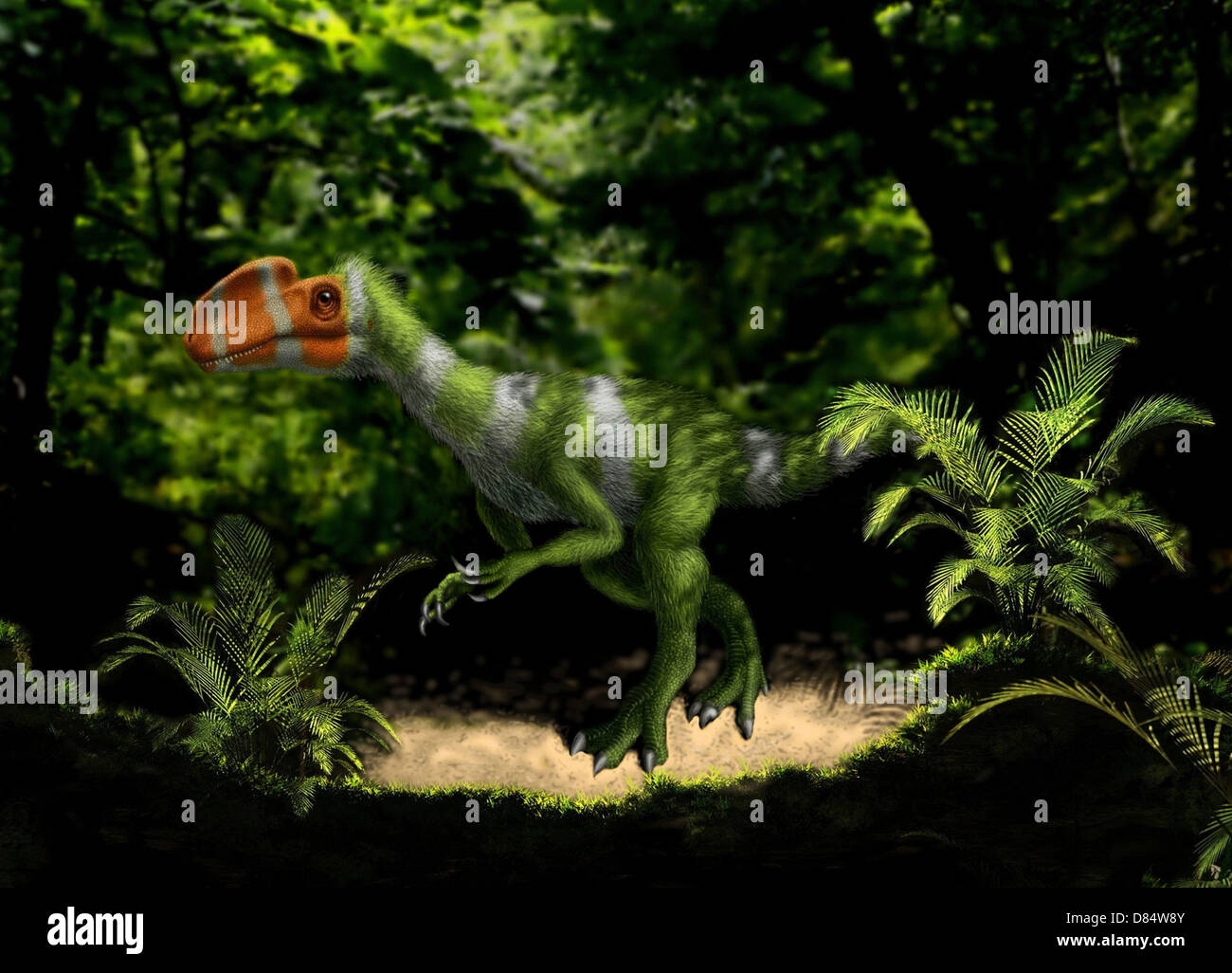 Kileskus aristotocus of the Middle Jurassic Period Stock Photo - Alamy