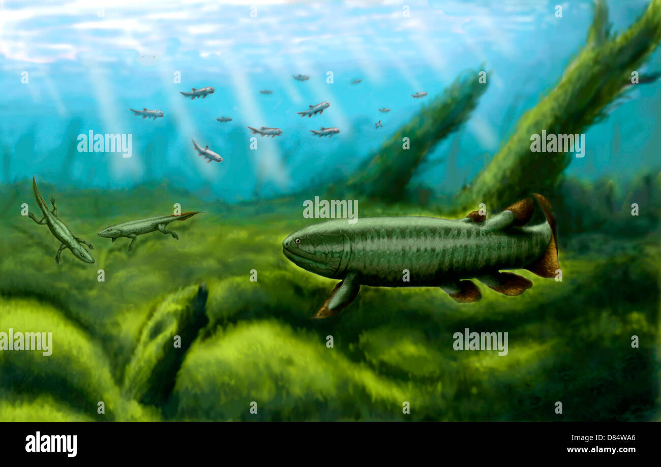 Devonian Animals High Resolution Stock Photography and Images - Alamy