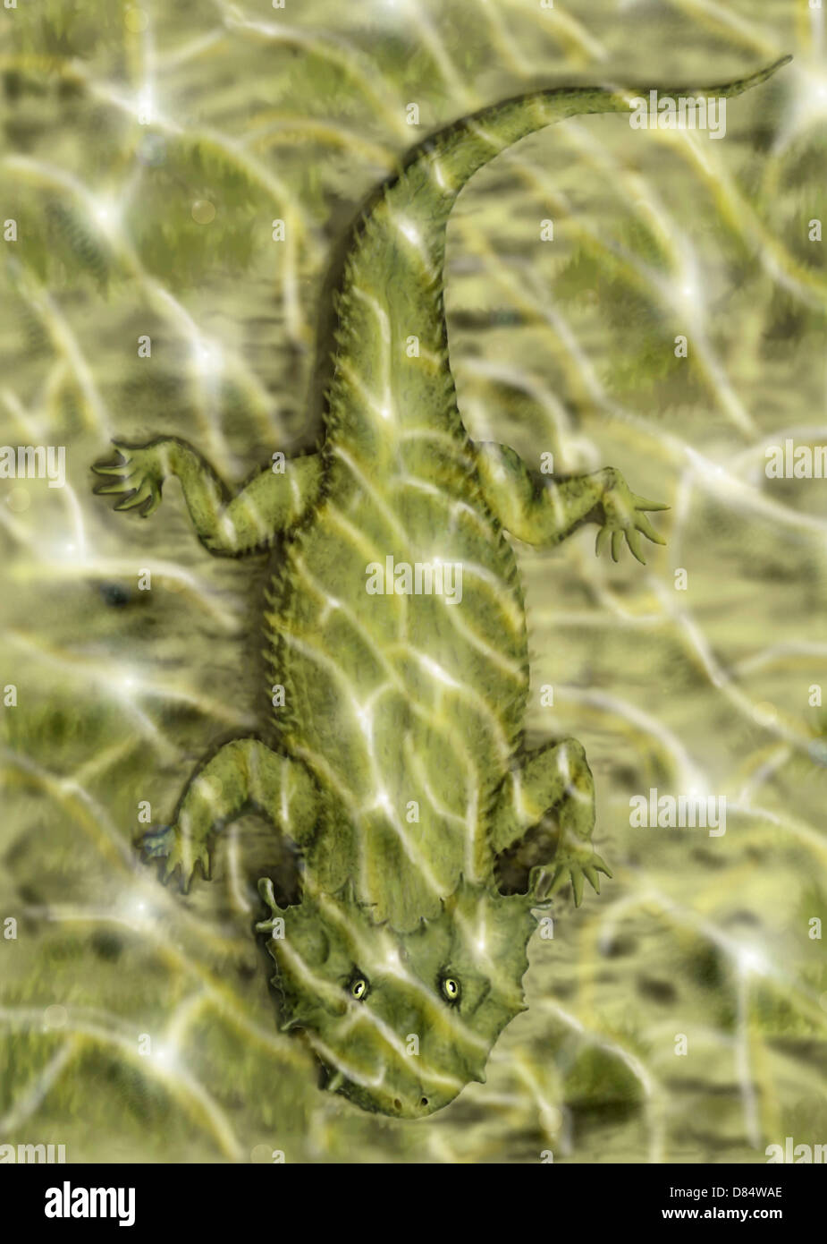 Lanthanosuchus, an extinct genus of parareptile from the Late Permian ...