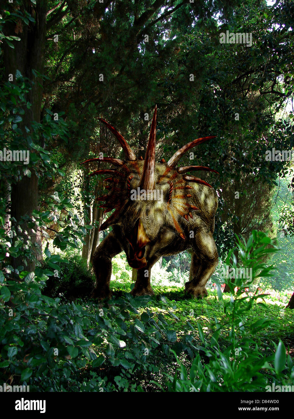 Styracosaurus front view hi-res stock photography and images - Alamy