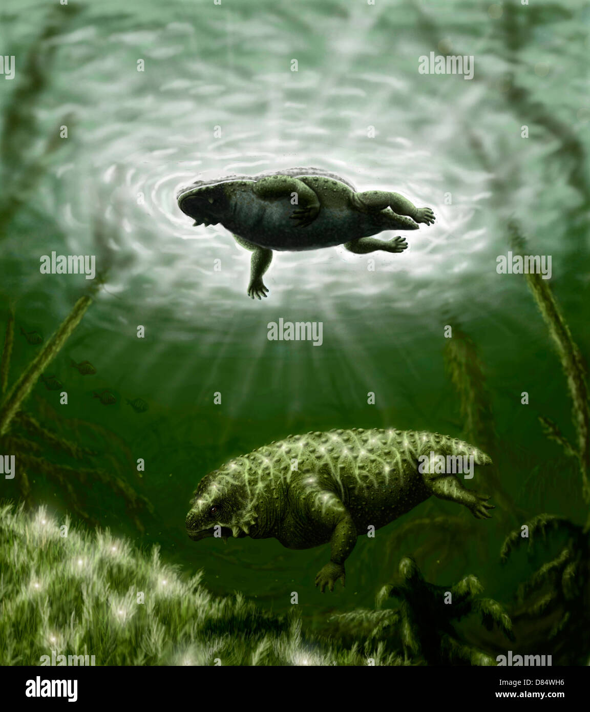 Prehistoric armored animals hi-res stock photography and images - Alamy