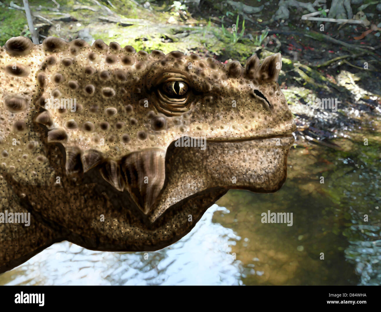 Scutosaurus hi-res stock photography and images - Alamy