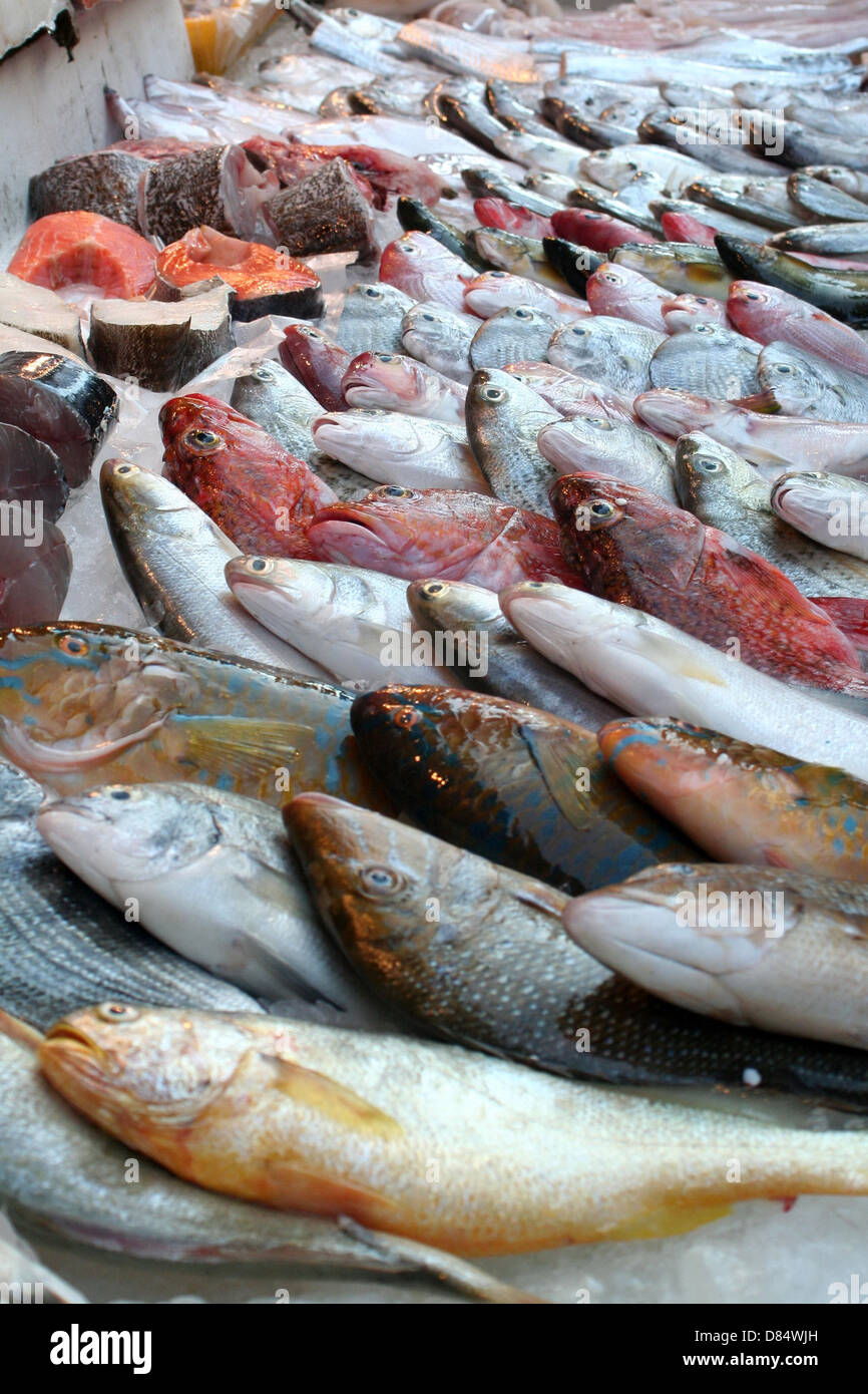 fish on market stall Stock Photo - Alamy