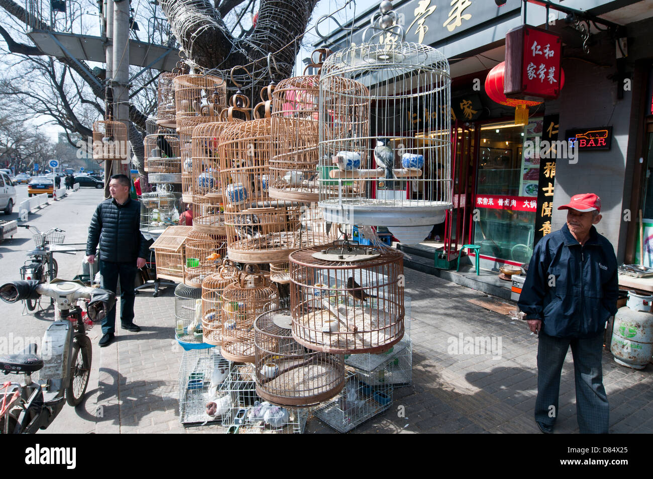 Pet shop with birdcages on a sidewalk in China, Beijing Stock Photo - Alamy
