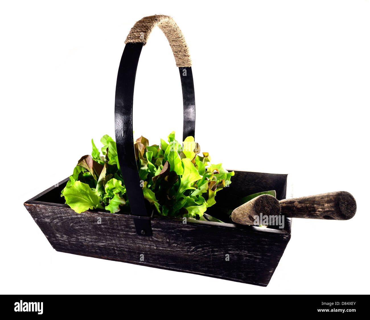 Ready gathering Cut Out Stock Images & Pictures - Alamy