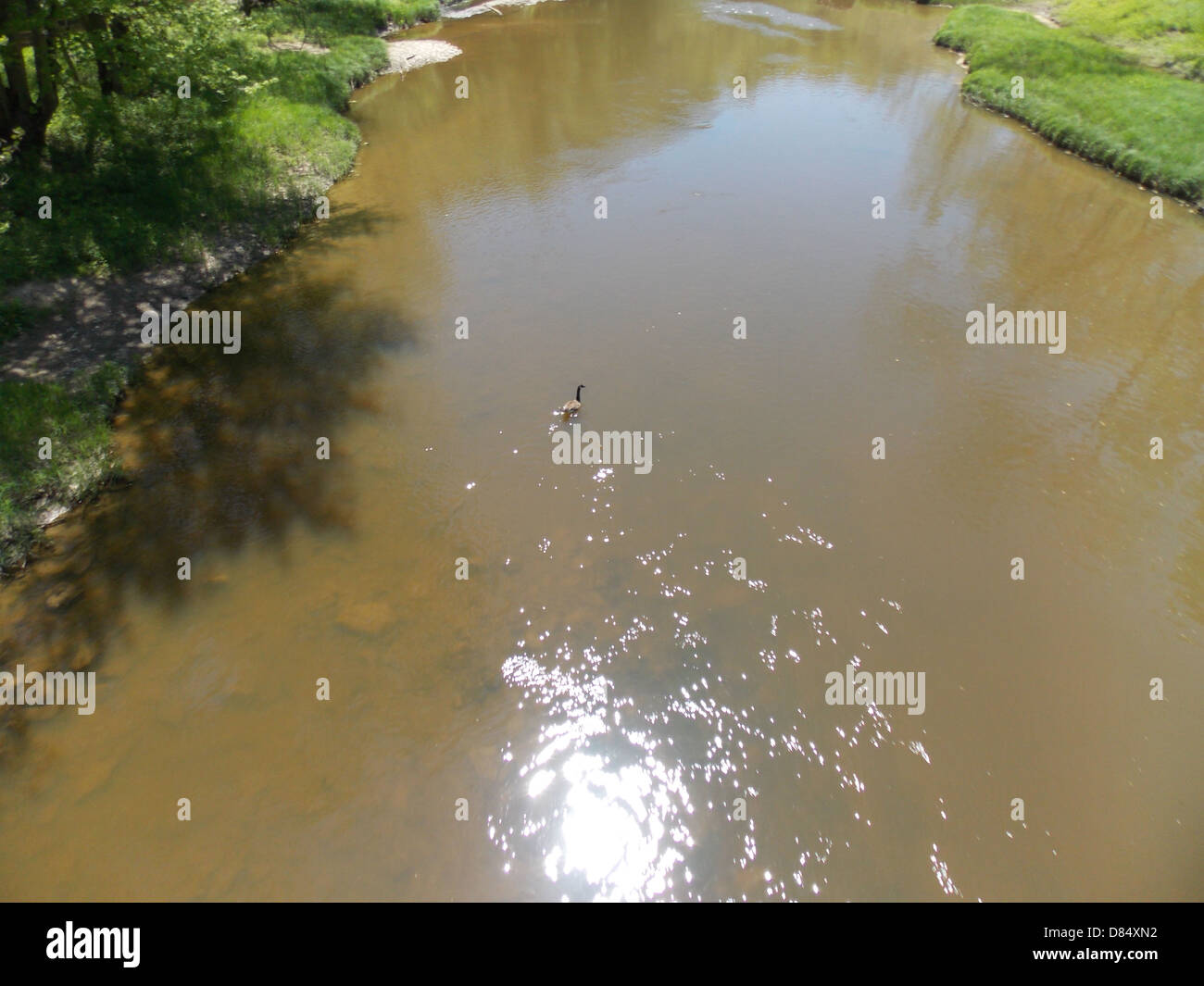 Sunshine in the river Stock Photo - Alamy