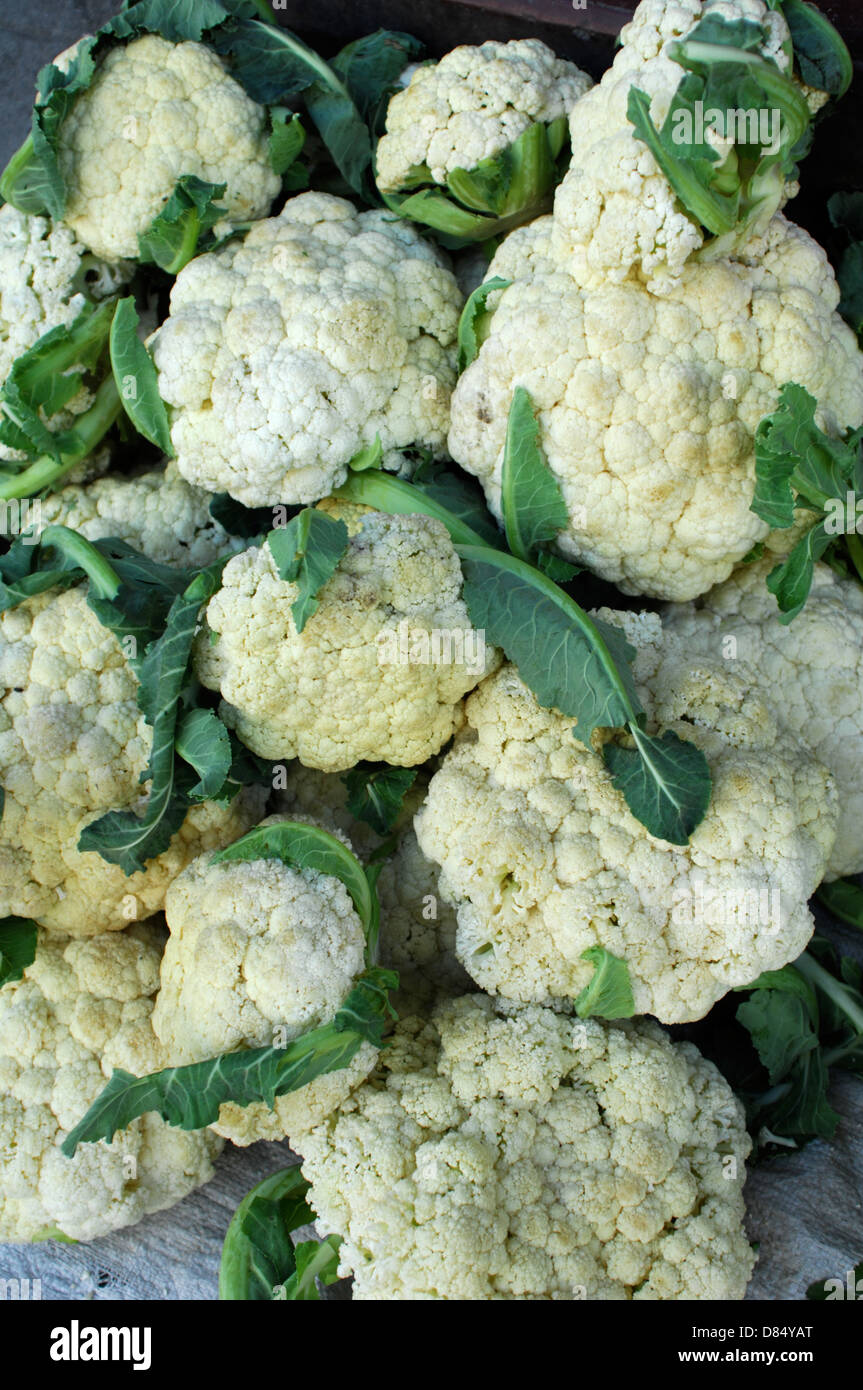 Cooking cauliflower hi-res stock photography and images - Alamy