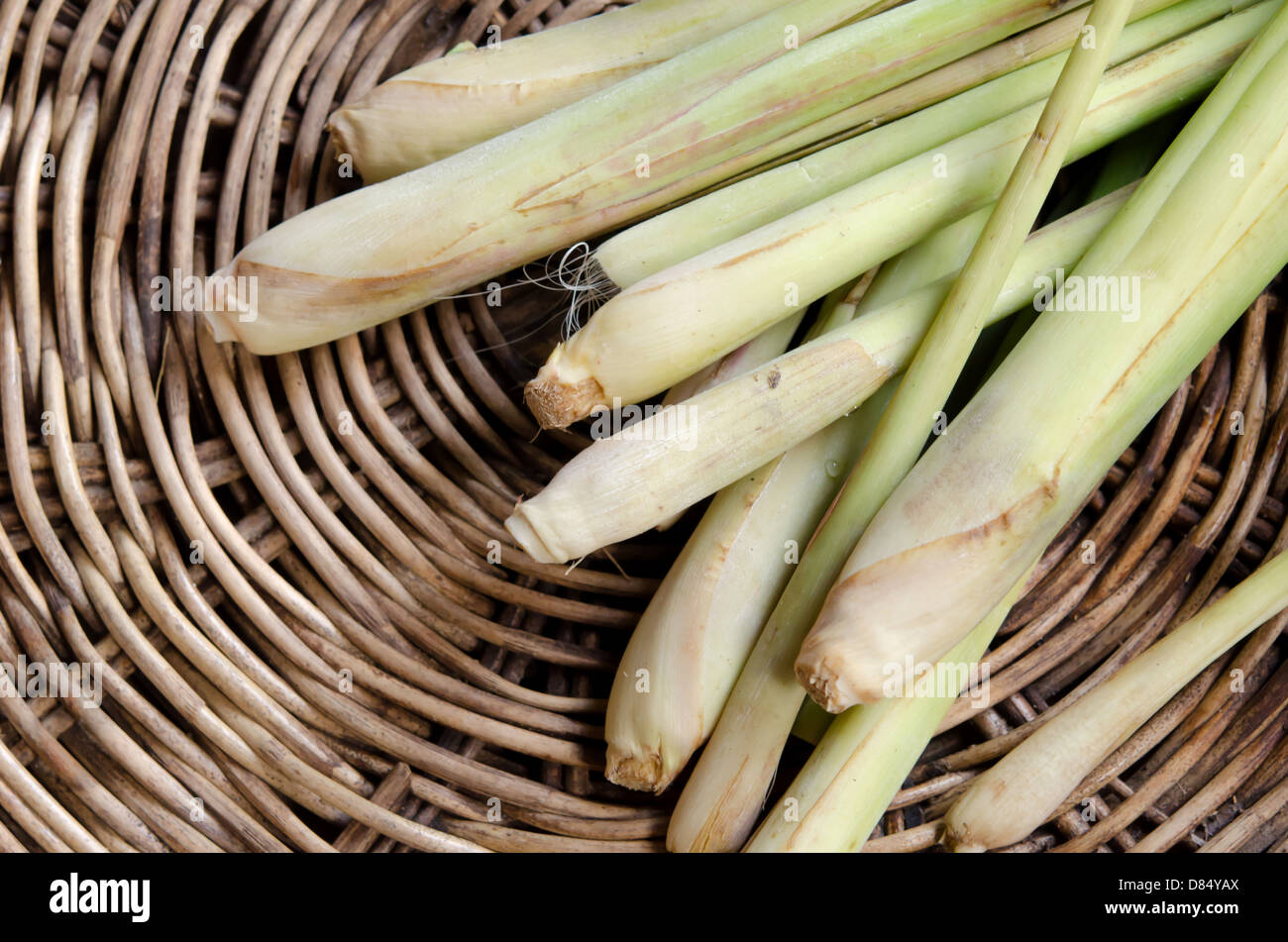 Fresh lemongrass hi-res stock photography and images - Alamy