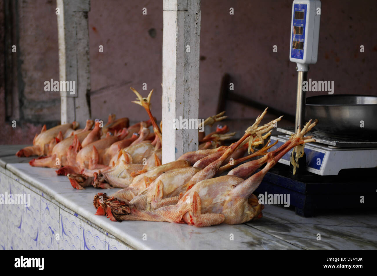 Nepal chicken hi-res stock photography and images - Alamy