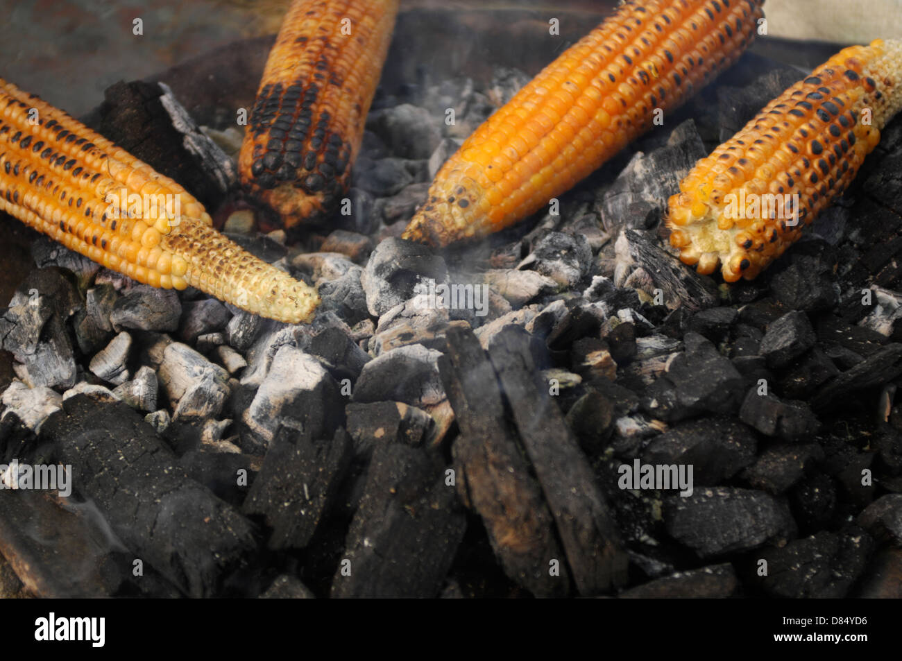 corn on the cob being cooked on an open fire Stock Photo - Alamy