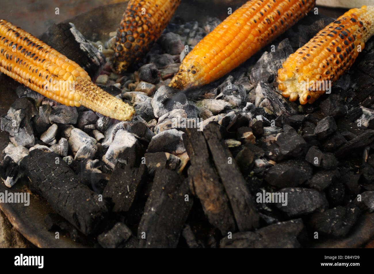 corn on the cob being cooked on an open fire Stock Photo - Alamy