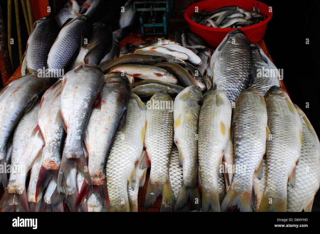 fresh fish in a market Stock Photo - Alamy