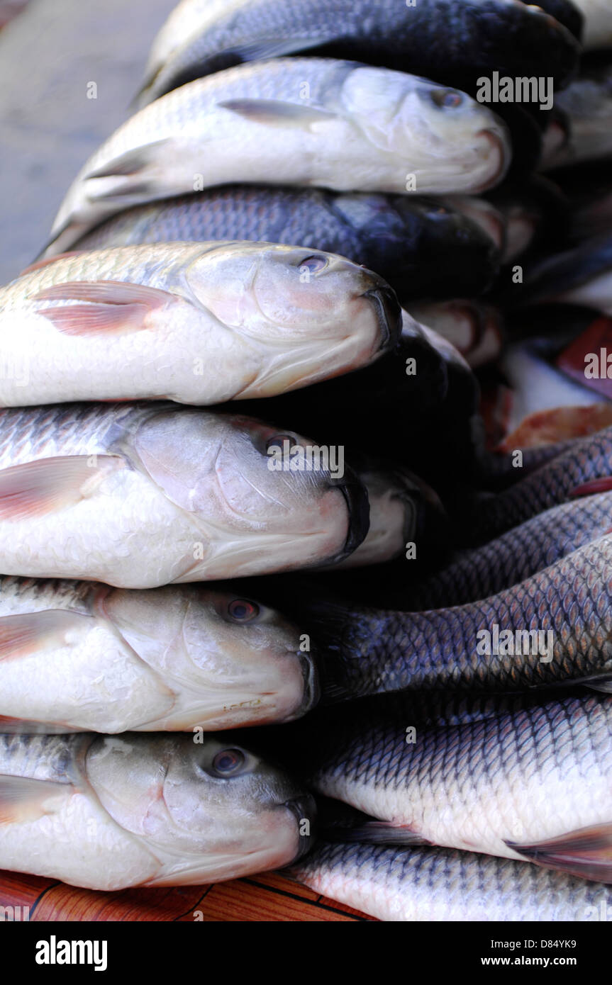 fresh fish in a market Stock Photo - Alamy
