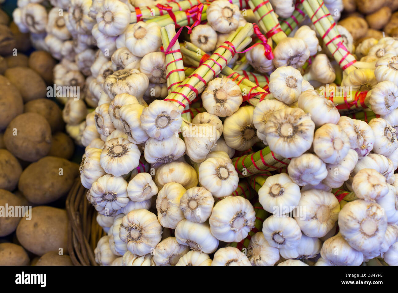 young garlic bunch on the market Stock Photo - Alamy