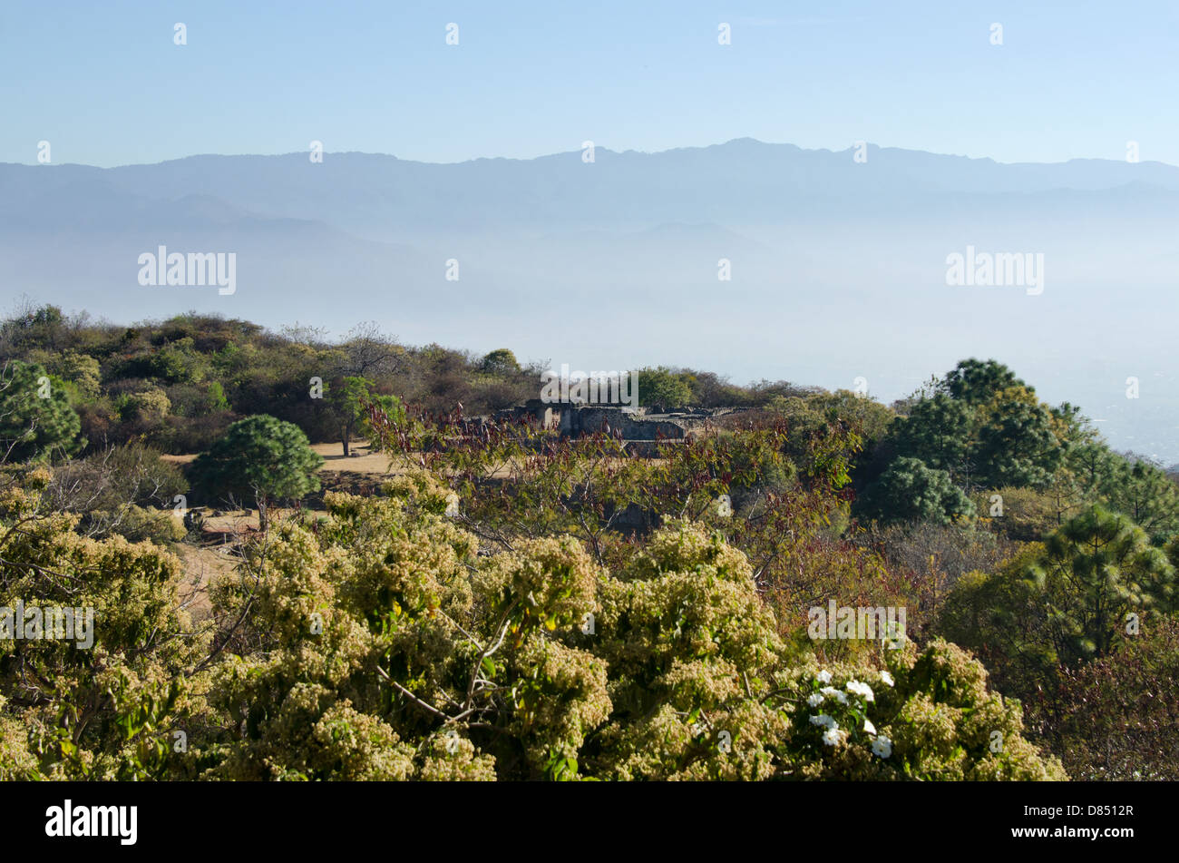 Tomb 7 is almost hidden among the trees at Monte Alban, Mexico Stock ...